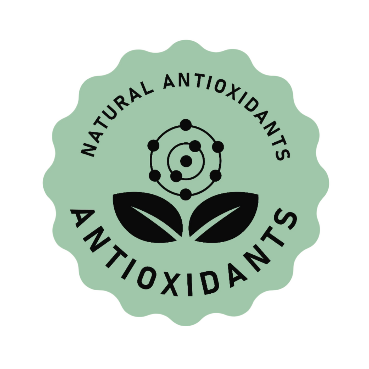 Natural Chewing Gum for Oral muscle workout & Digestive Wellness – PureMastic