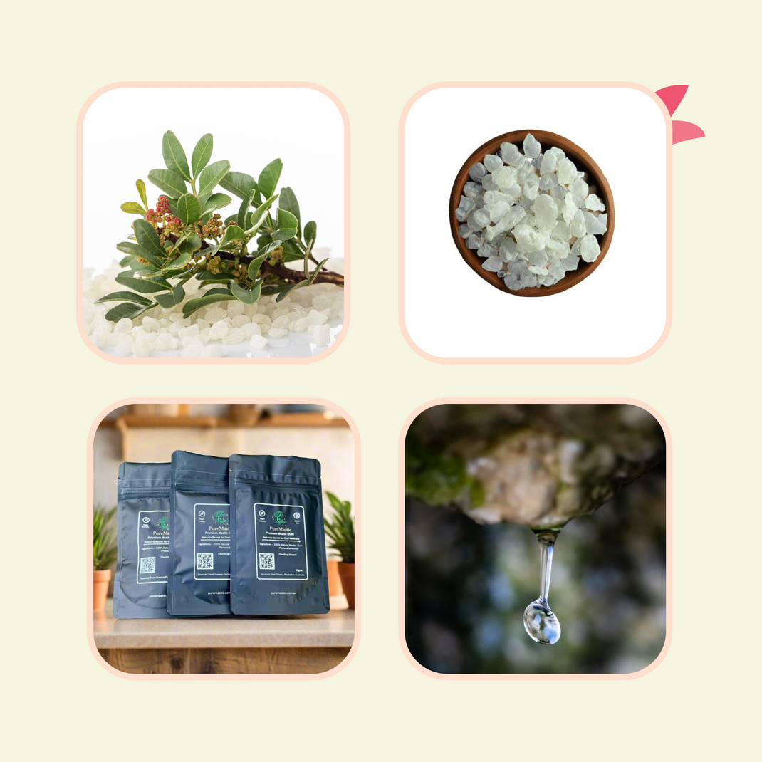 Chios Mastic Gum in Australia | Natural & Authentic Greek Mastic Gum ...